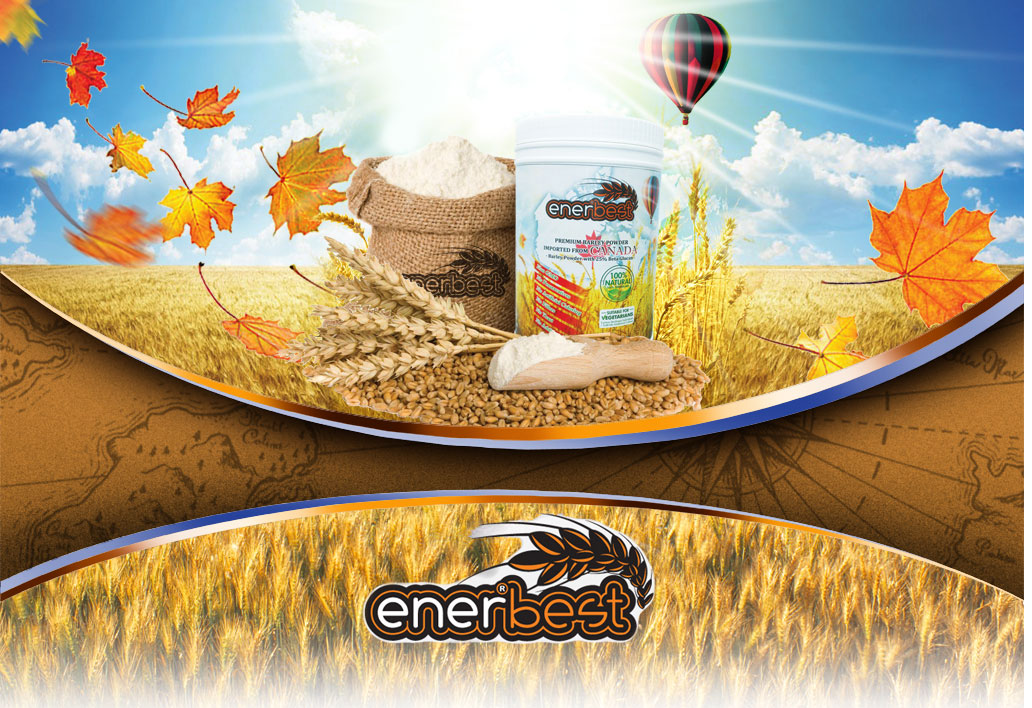 Lin's Healthy Lifestyle