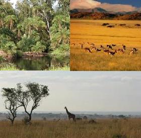 ePORTUGUÊSe: Angola