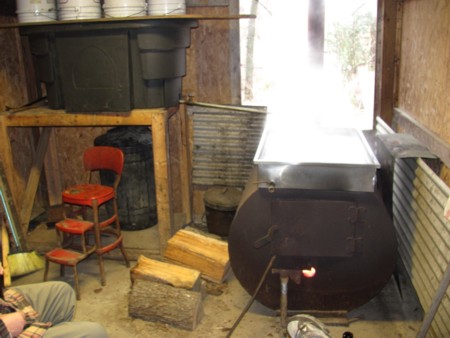 Modern Pioneer: Maple Syrup, Sap Gathering, How To, Production Of, To ...