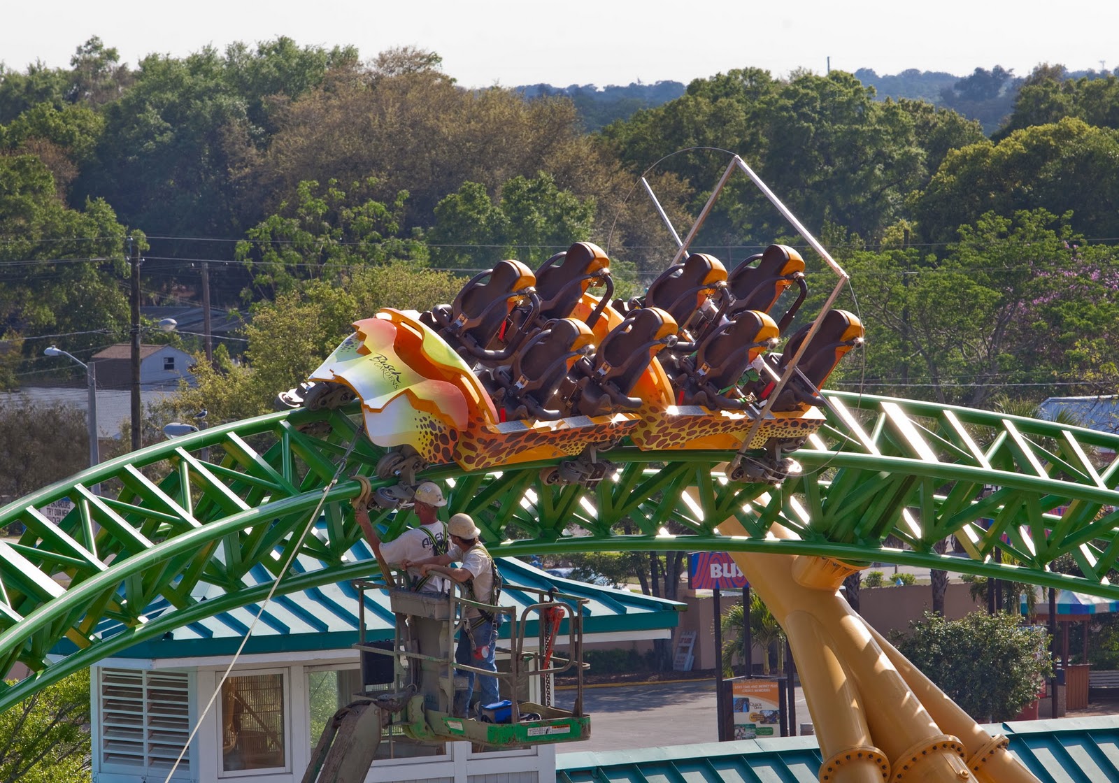 NewsPlusNotes: Cheetah Hunt Pull Through Photos
