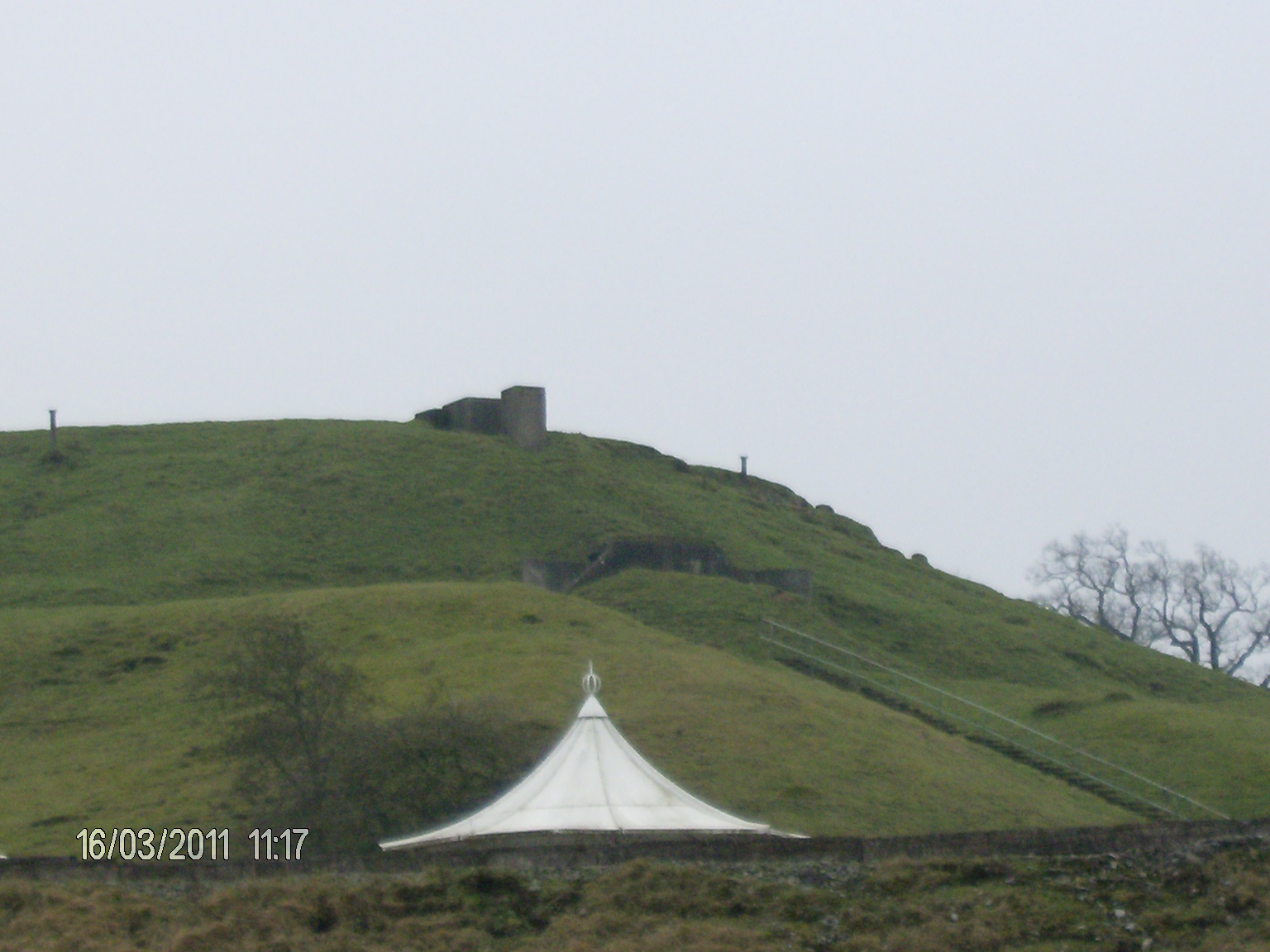 NB Beefur: March 2011