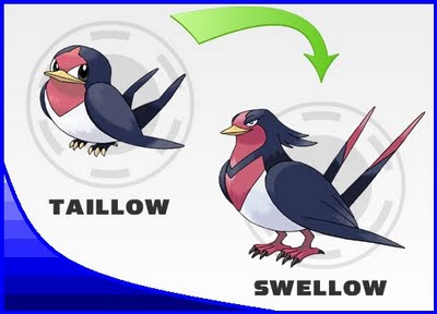 Evolução dos POKÉMONS