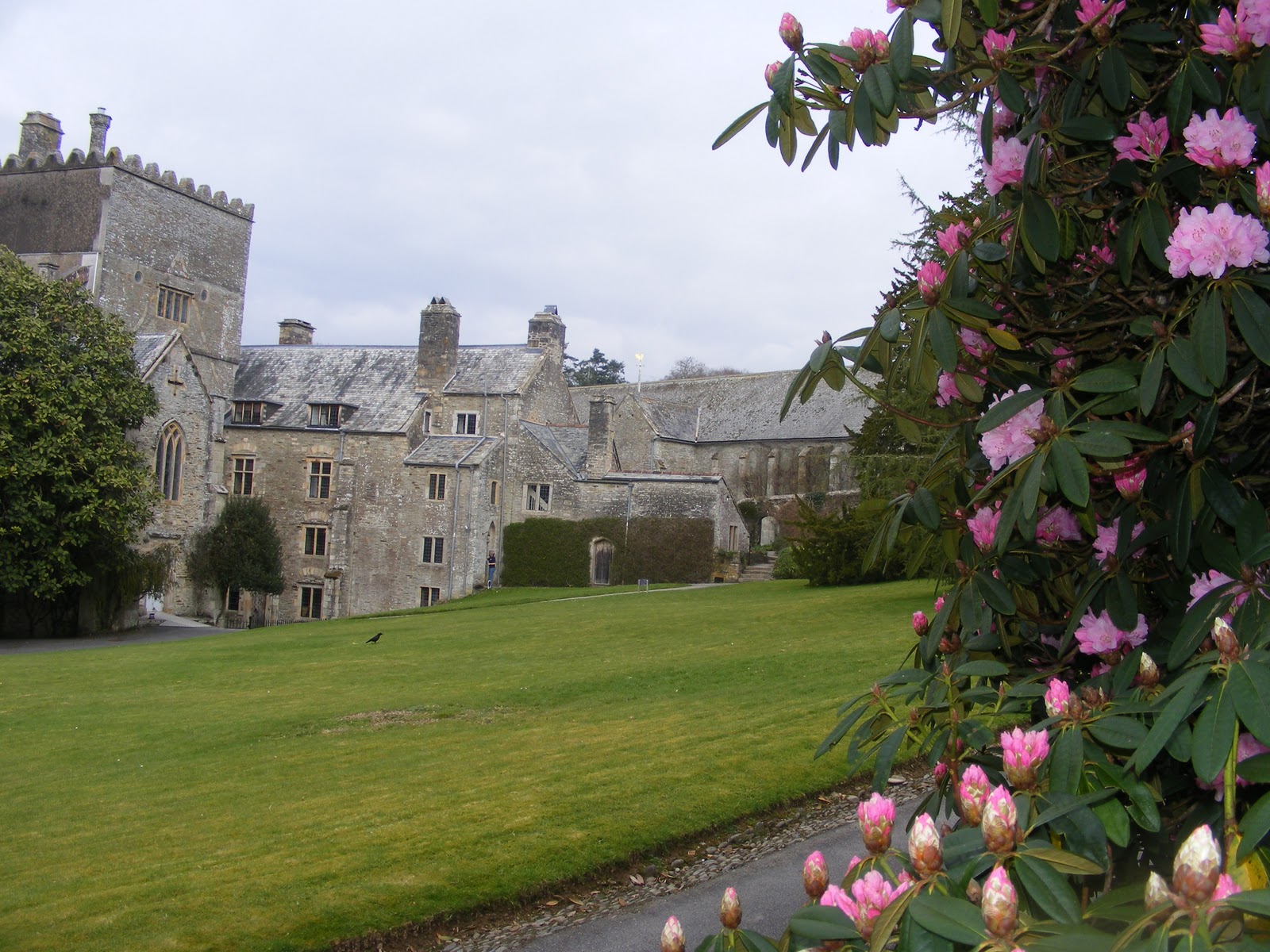 Life in Plymouth: Buckland Abbey