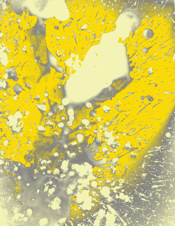 Tom Whittle Design: Portfolio