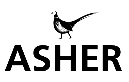 Asher Anson Ballard: March 2011