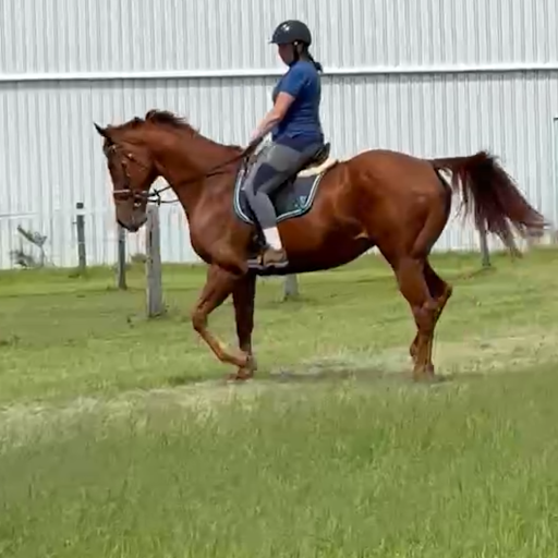 Camilla Coates Phone Number, Address, Age, Contact Info, Public Records ...