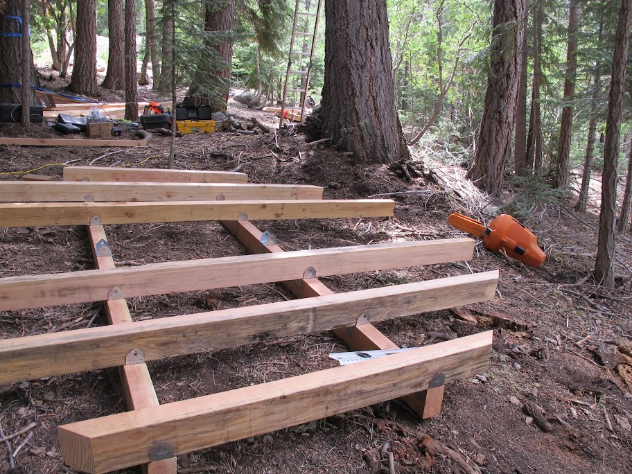 Big, Bad Tree House | tzrider