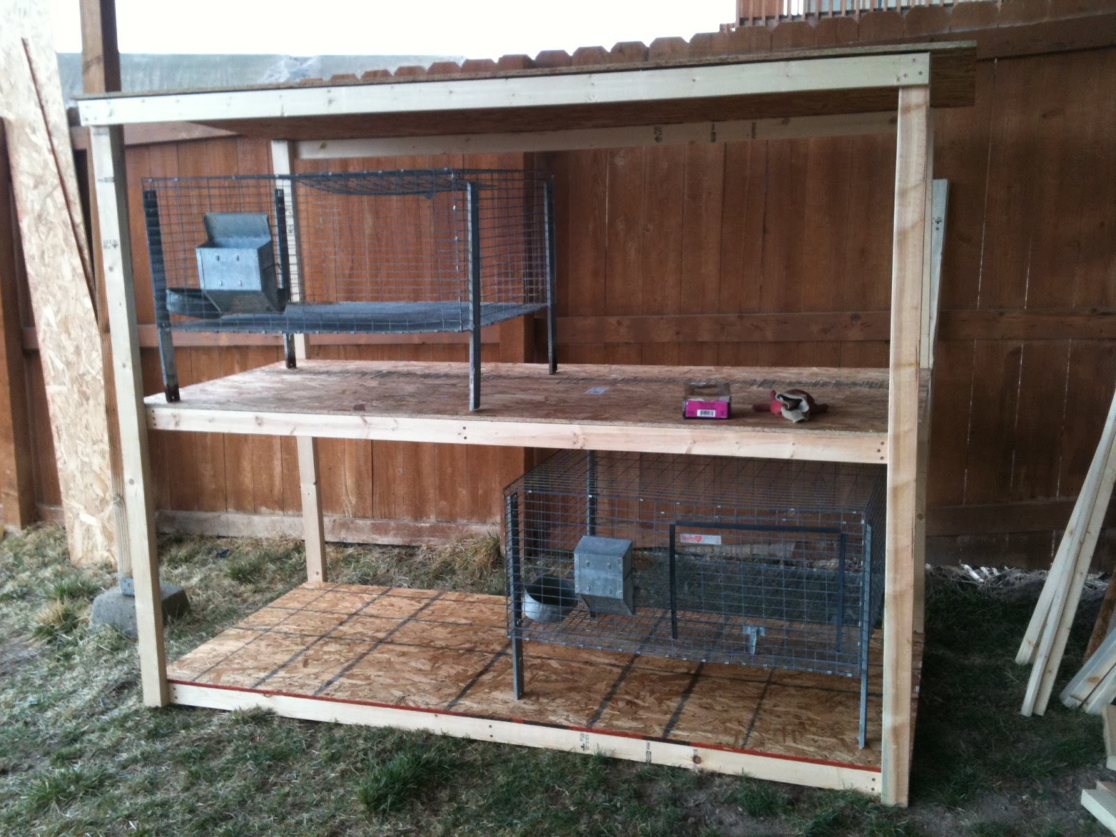 Little Red Barn Rabbitry