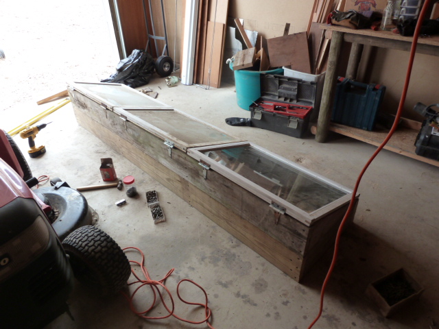the common milkweed: Cold frame from salvaged windows and lumber