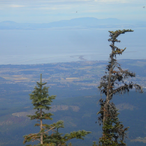 Dana Shirey Phone Number, Address, Age, Contact Info, Public Records ᐈ ...