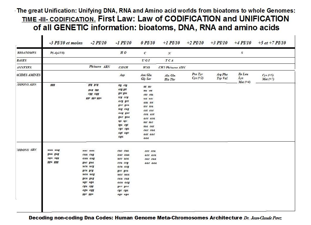 golden ratio and numbers in DNA- CODEX BIOGENESIS: les 13 codes de l ...