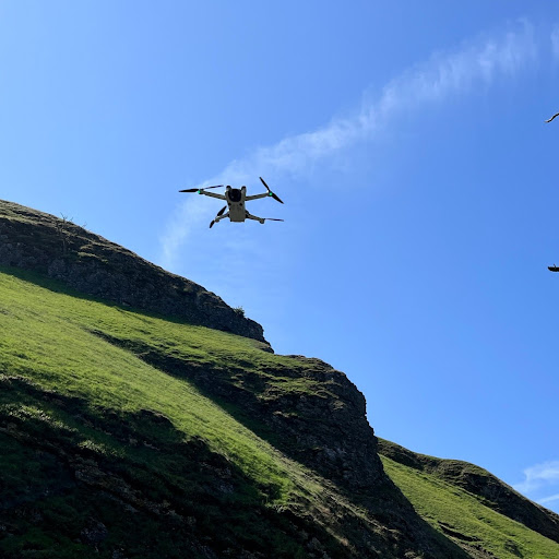 Michael Scotney Phone Number, Address, Age, Contact Info, Public ...