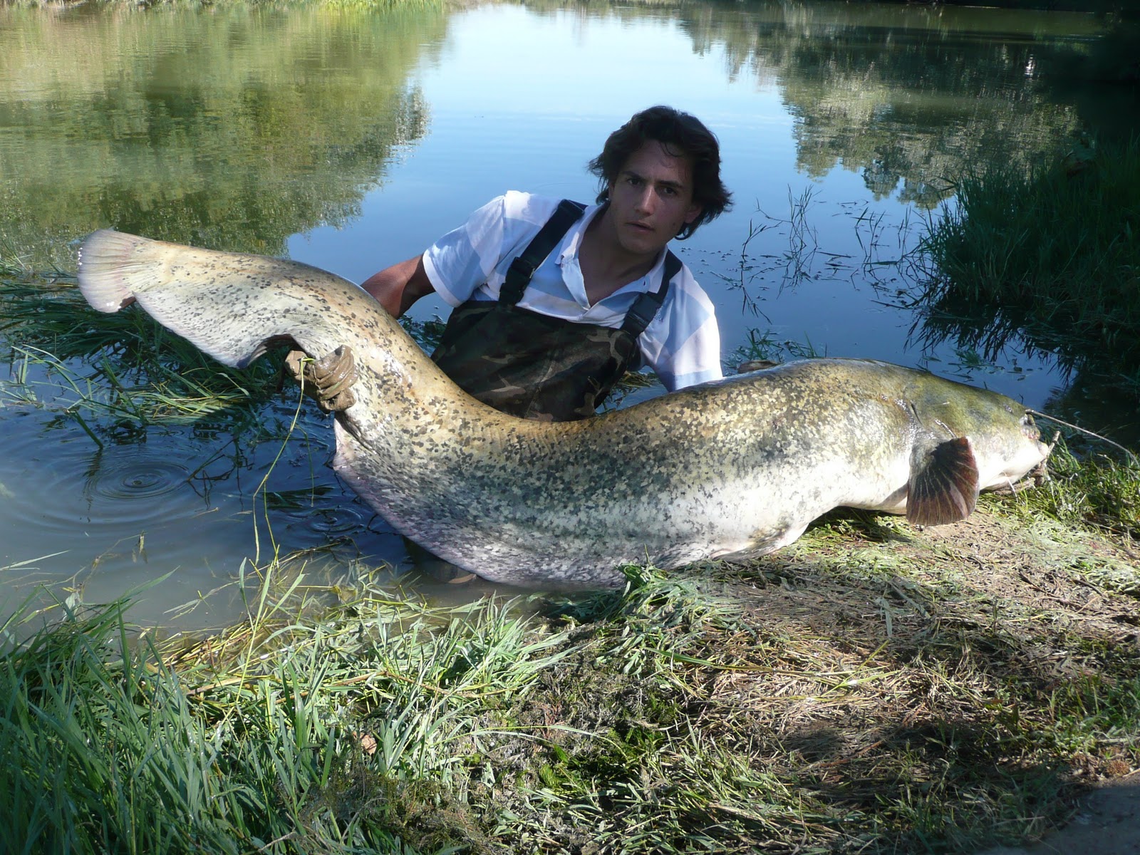 GUIDE DE PÊCHE DU SILURE ET DU SANDRE À MEQUINENZA: Silure 2,11m