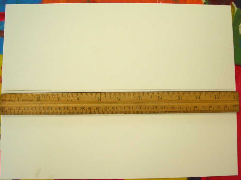 Fine Lines: Reflections