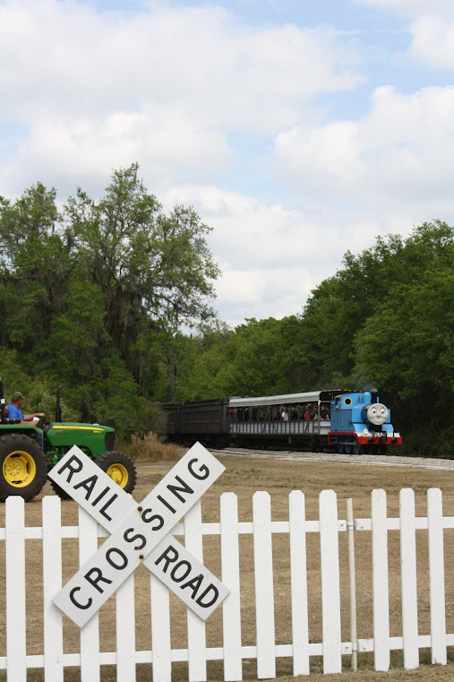 Little Lion Man love trains and adores Thomas the Tank engine. Upon our ...