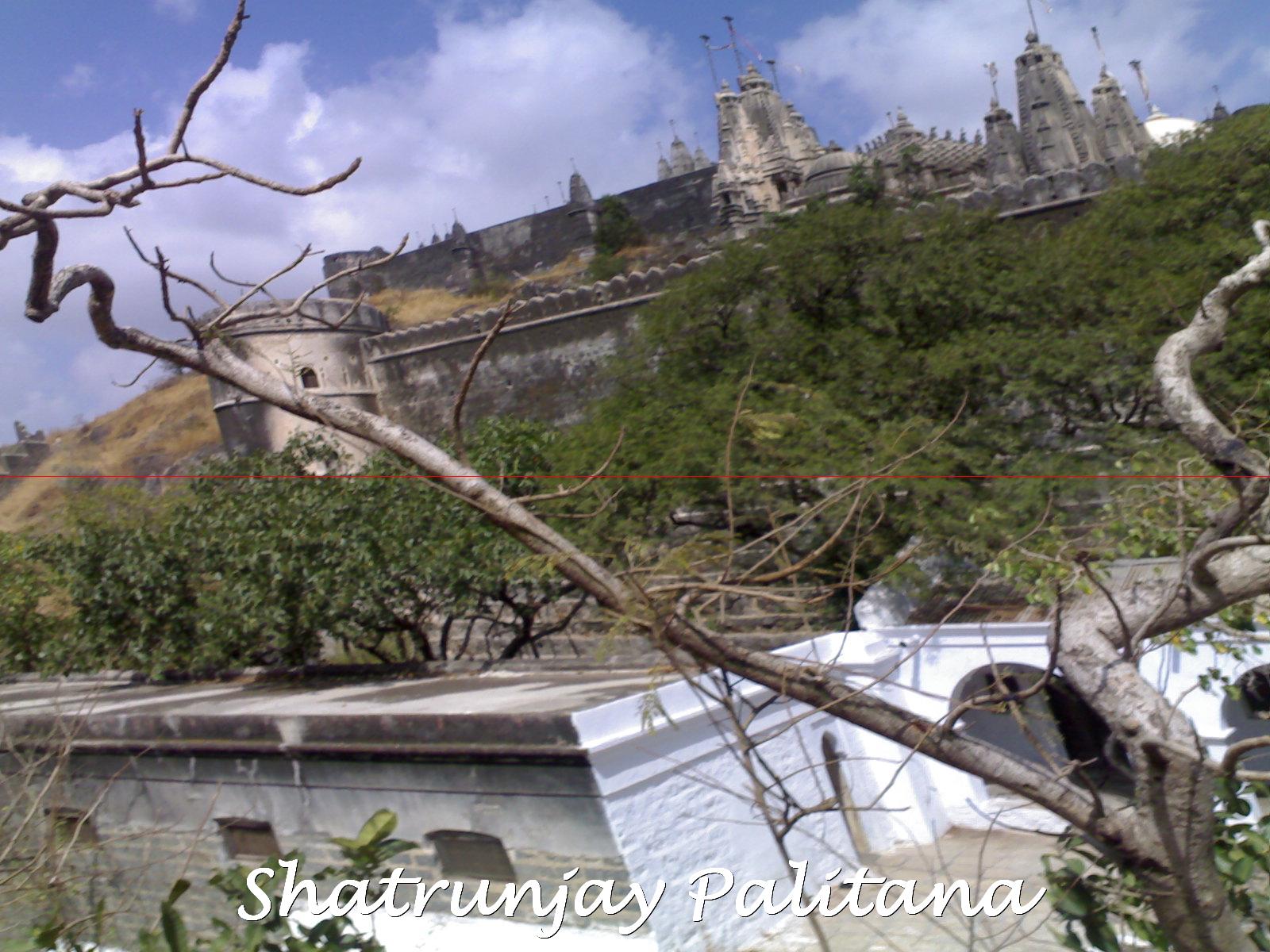 palitana shatrunjay adinath bhagwan photo