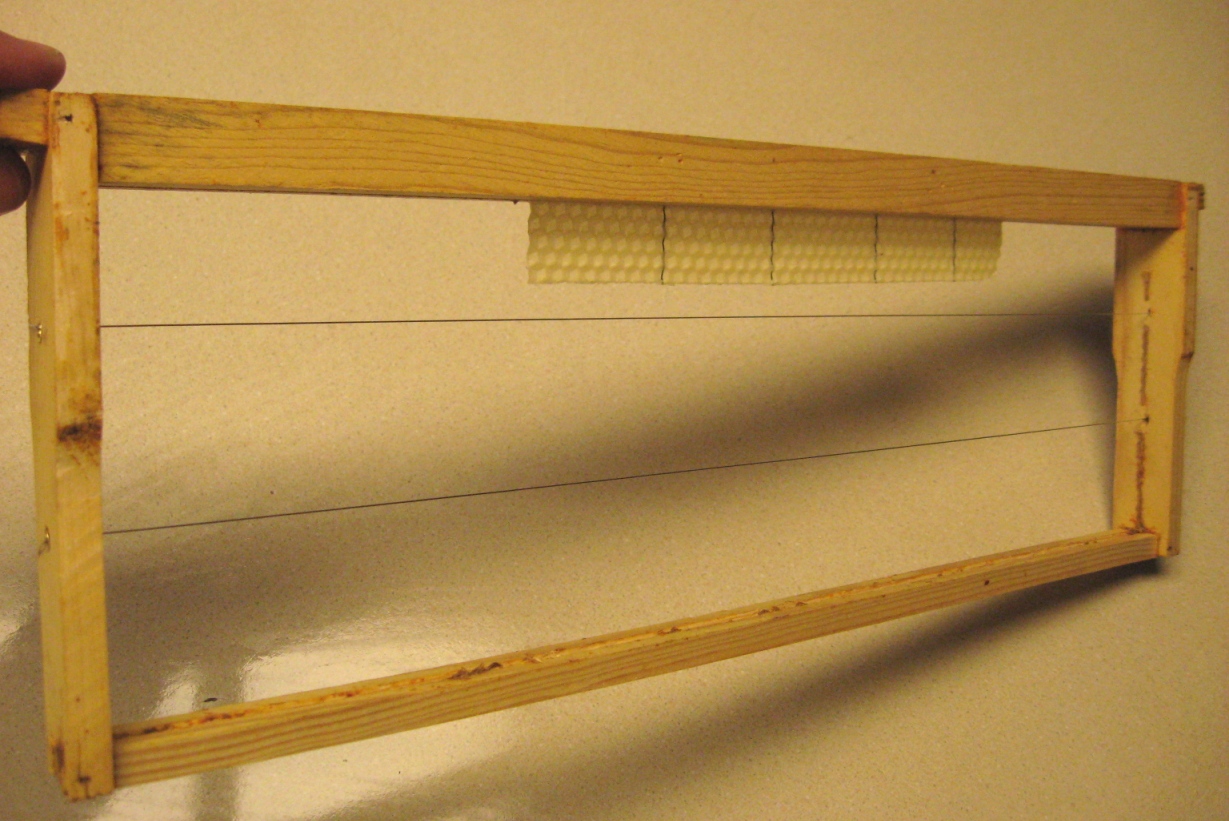 Beaver Creek Bees: Inspection 3/12/11