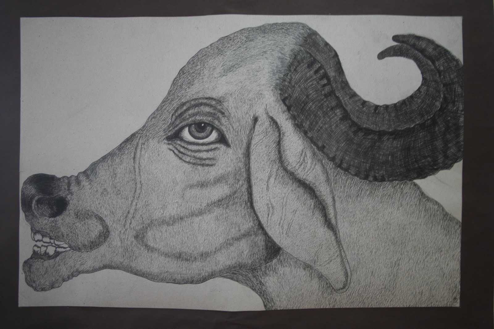 Ravi Shekhar's chirping: DeCAD means Devrukh collage of art and design