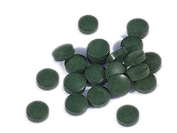 Single Cell Protein: Single Cell Protein - Algae