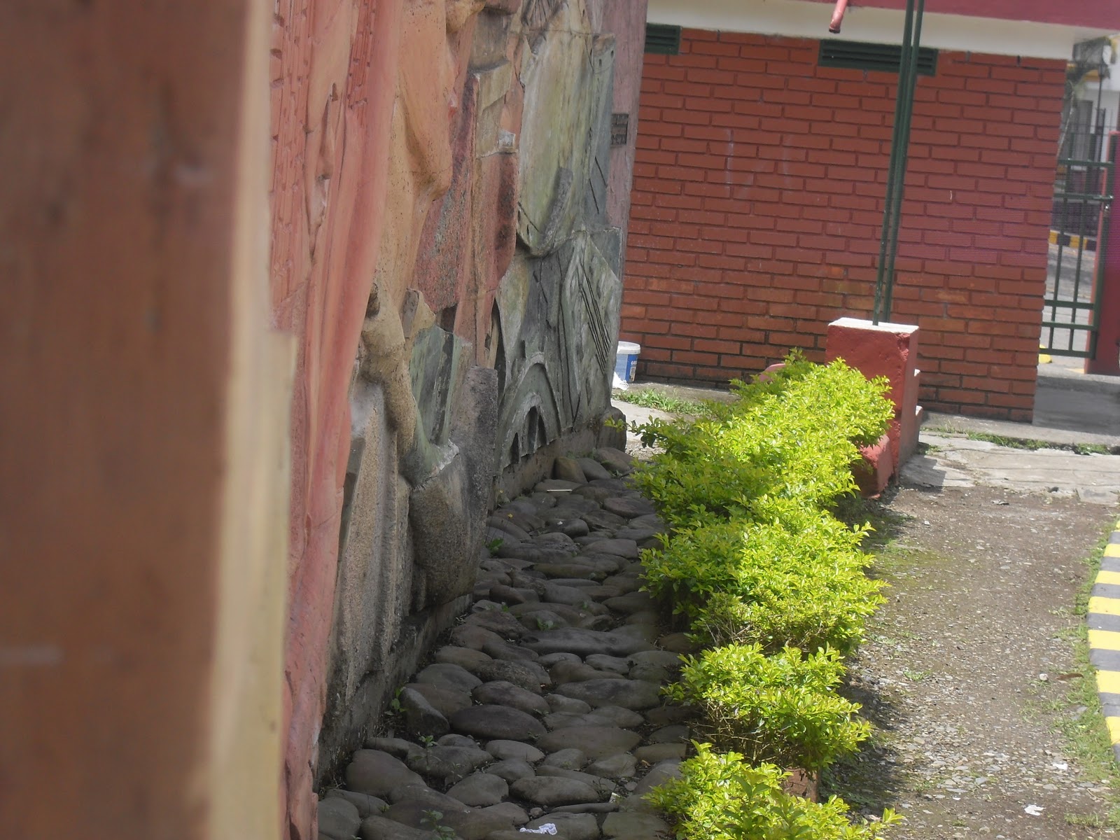 Alejandro Rincon: Angulo Lateral ( Fotos )