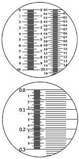 SOLLY BRIDES: LAB 2: MEASUREMENT AND COUNTING OF CELLS USING MICROSCOPE
