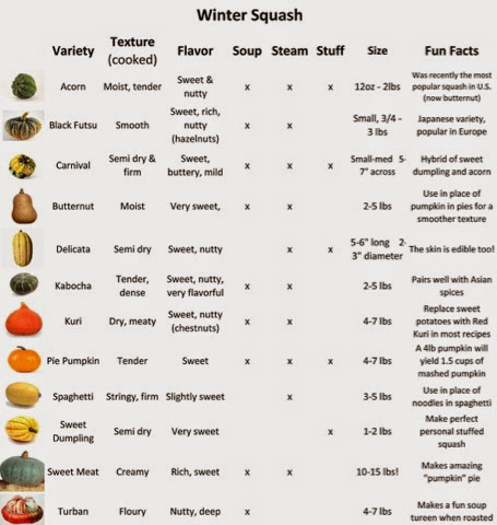 Amber Pretty Notes: Pumpkin Season: they are everywhere!