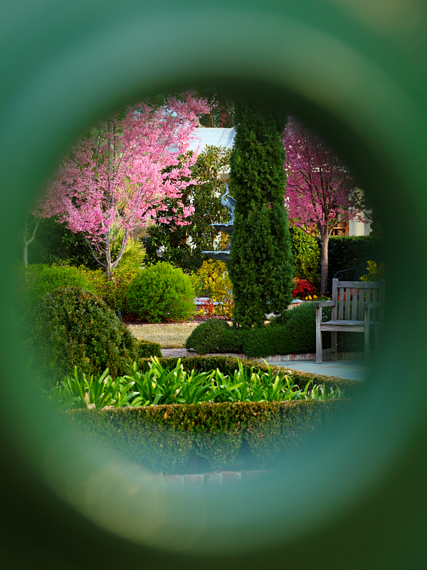 Doug's Photo Blog: A Stroll Through Early Spring In Charleston