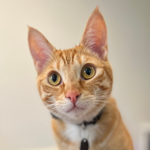 Beyond Bayou, Seminyak (updated prices 2025)