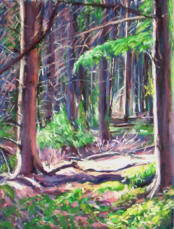 Judy Adamson's Art & Design Blog: Tree paintings #19 - near Bath