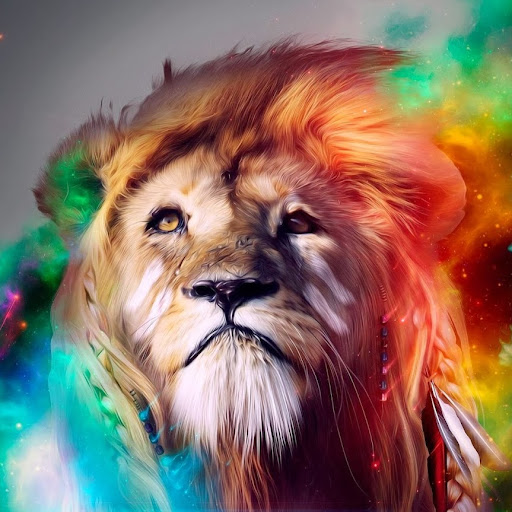 Brian Noll - Address, Phone Number, Public Records | Radaris