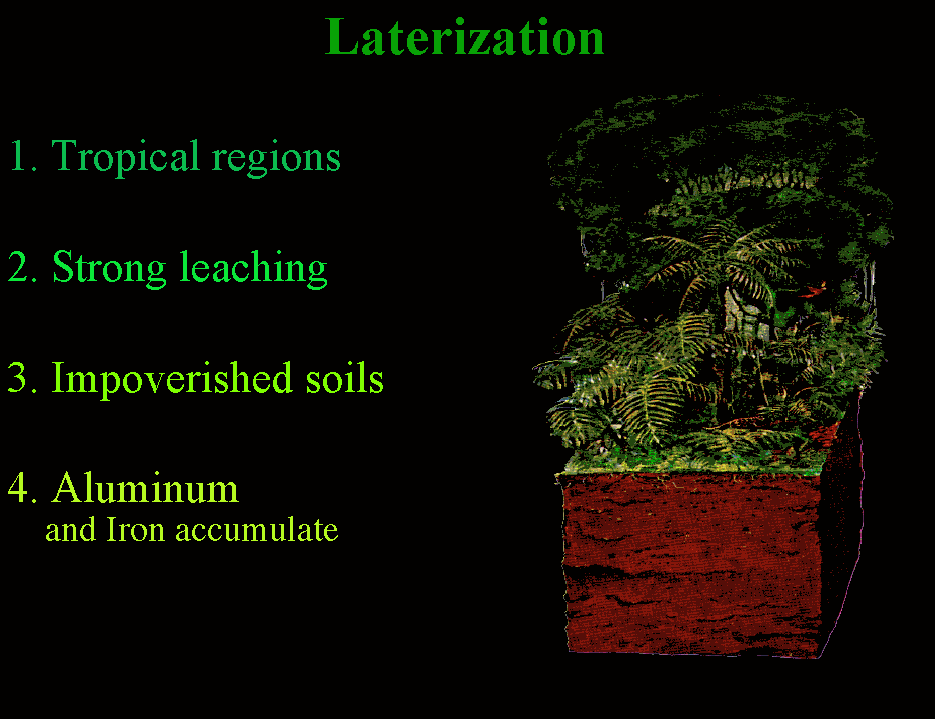 The Unworldly Landscape of Pandora
