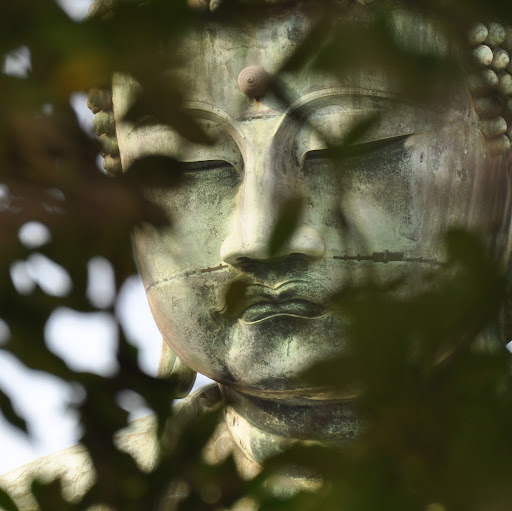 University of Surrey · Guildford GU2 7XH, United Kingdom