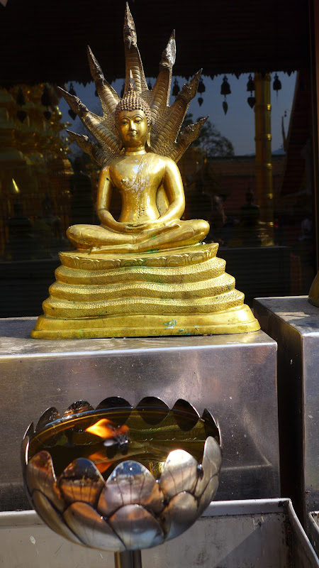 Saturday Buddha | swabhava