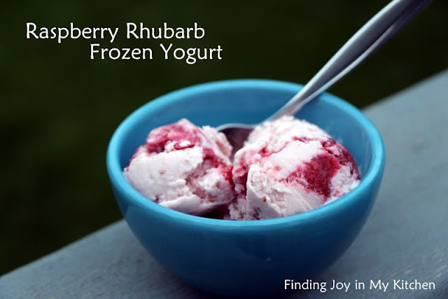 Finding Joy in My Kitchen: Raspberry Rhubarb Frozen Yogurt