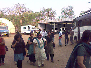 Uruli kanchan | ankitwalia1