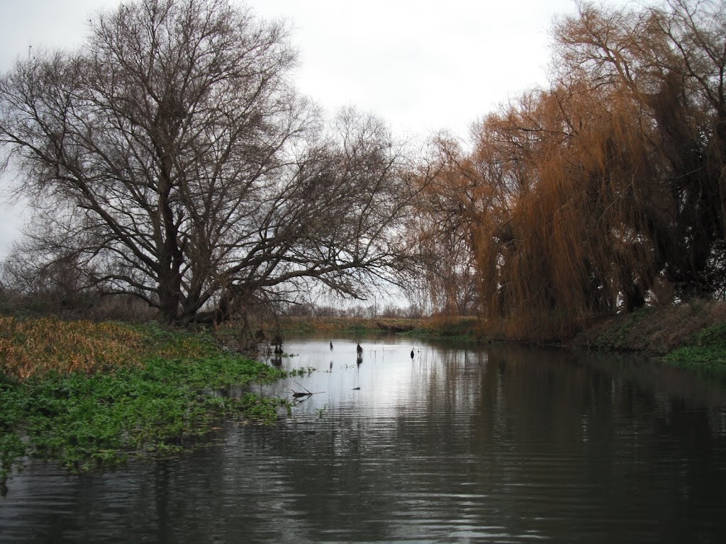 River Ivel - Biggleswade to Tempsford - Song of the Paddle Forum