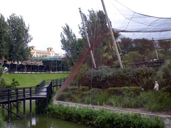 Sunee Sees the World: Feathered Fun at Montecasino's Bird Gardens