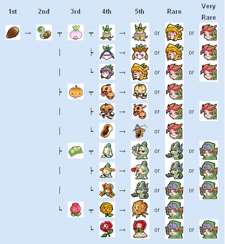 All about Seal Online: Evo pet Seed & Green Seed