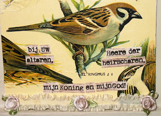 Makkie: Zelfs vindt de mus een huis