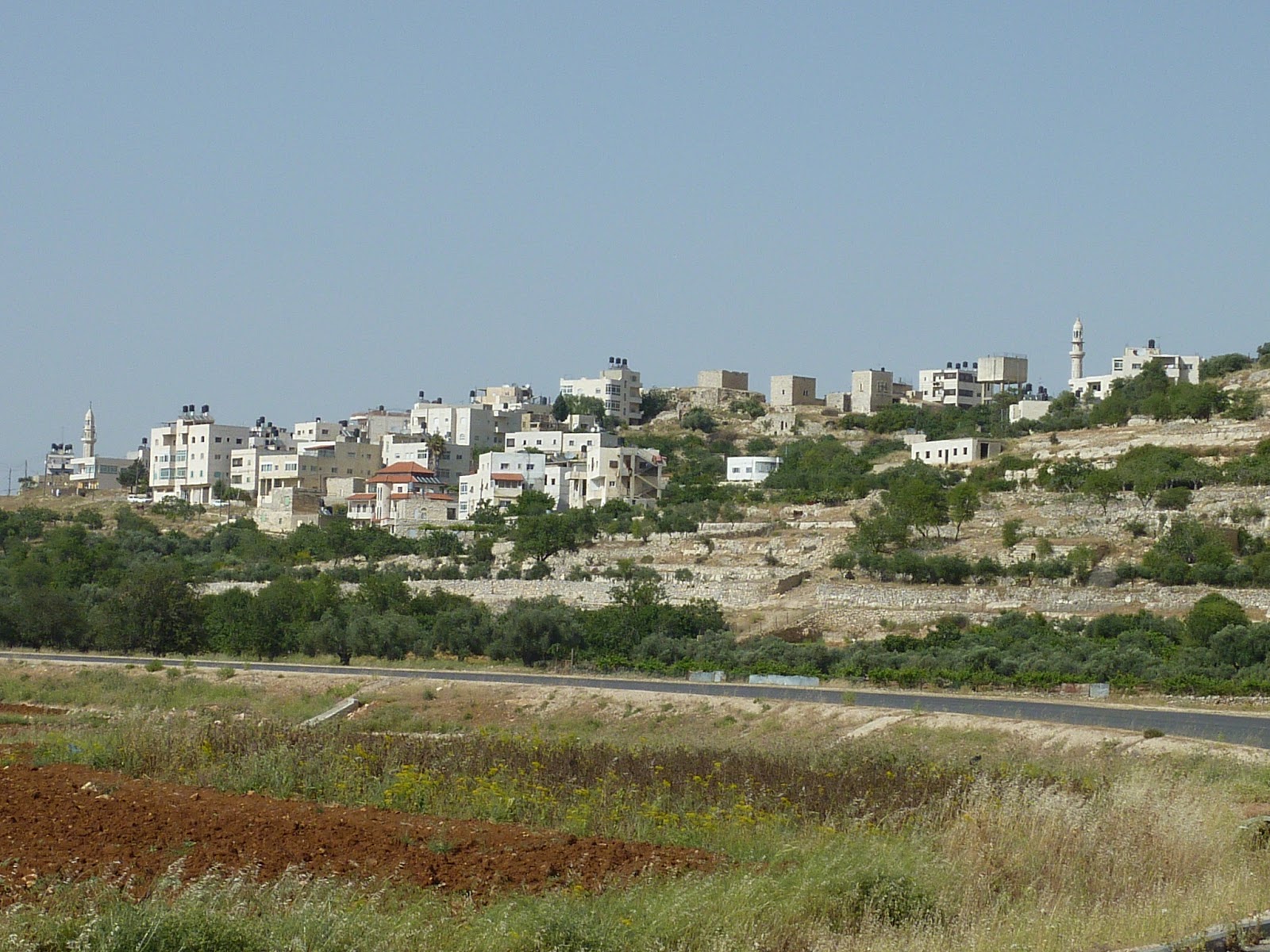 Católico Urbano: #90: Razones para la paz.