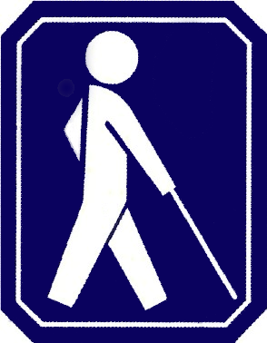 DEFICIENCIA VISUAL: DEFICIENCIA VISUAL