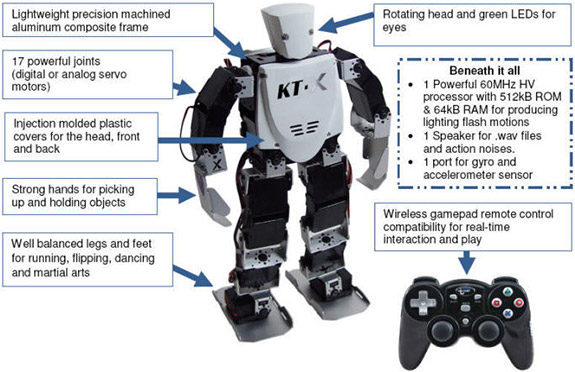 Humanoid And Human Interactive Robot Workshop Humanoid Robot