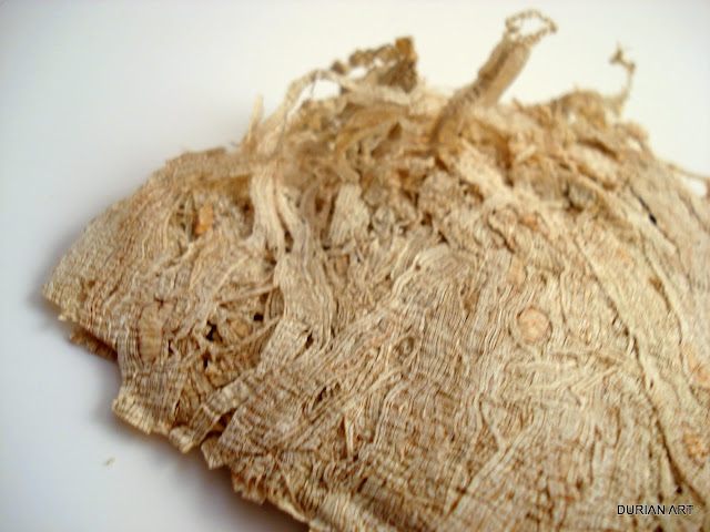 tororo kombu | GOURMANDE in OSAKA