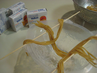 Brains, Jell-O and Spaghetti White Matter Tracts | the imaginary mind