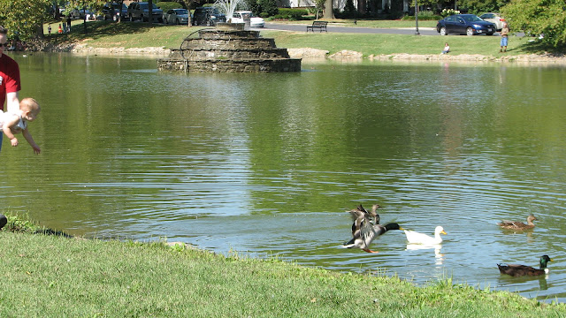 Real Estate in Frederick MD: Culler Lake in Baker Park ~ Photos