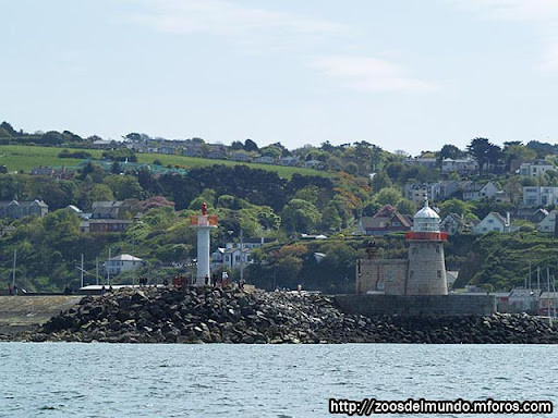 Zoos del Mundo - Howth (Dublín, Irlanda): Focas grises y aves marinas ...