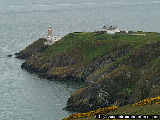 Zoos del Mundo - Howth (Dublín, Irlanda): Focas grises y aves marinas ...