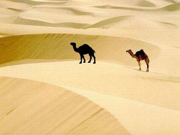 Famous logos in real life - 40 | WOW Architecture