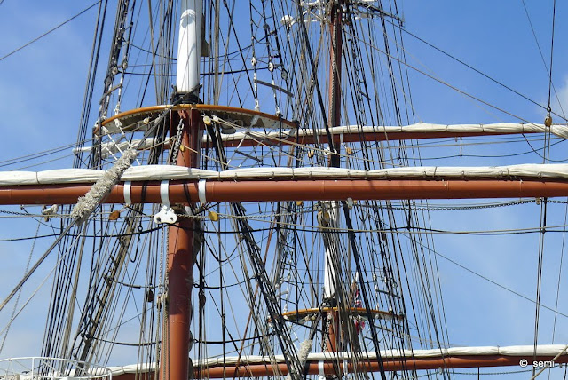 Blog de Semi: Jarcia