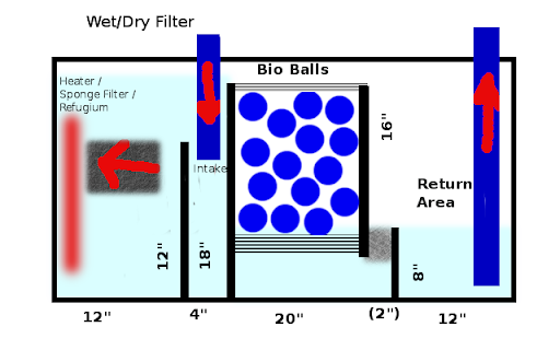 Low Tech 125G w/ Sump/Refugium | The Planted Tank Forum